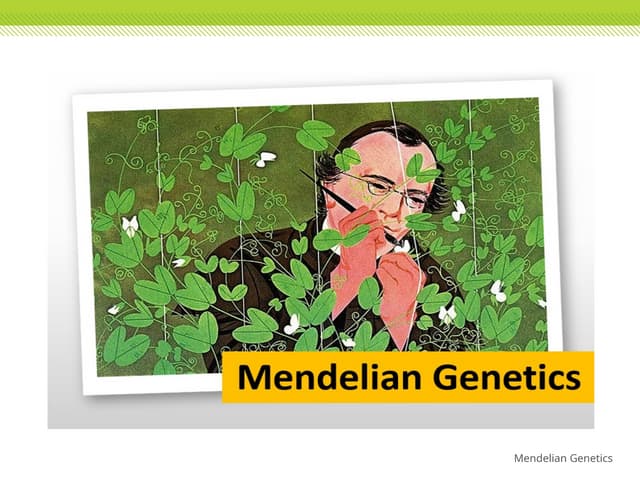 Introduction to Genetics.ppt