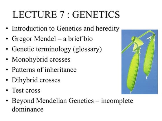 Science 8 4th Qtr Lesson 4 Mendelian Pattern of Inheritance.pptx