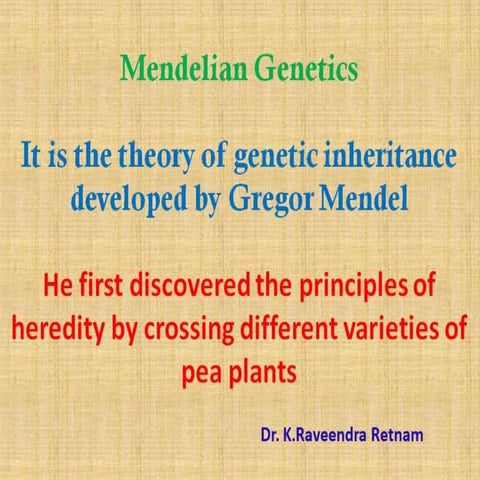 Mendelian genetics .pptx
