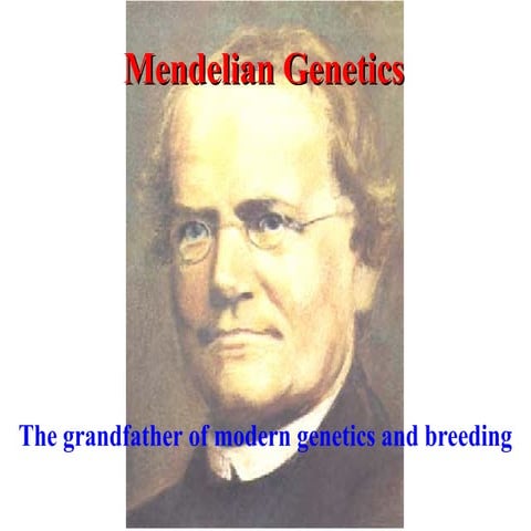 Mendelian Genetics Lecture Notes 30_09_2024.ppt