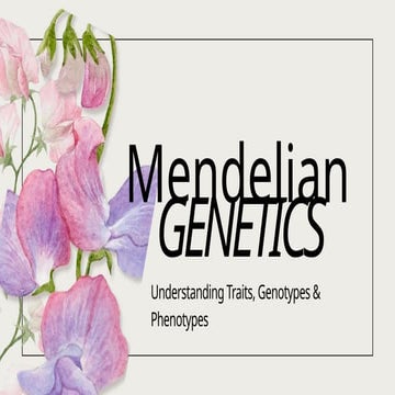 Mendelian Genetics: Understanding Traits, Genotypes & Phenotypes | PPTX