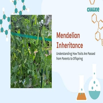Mendelian Inheritance laws of inheritance | PDF