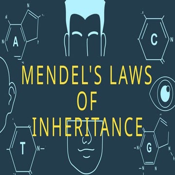 Sex Linked Inheritance Sex Influence Inheritance And Sex Limited Characters Pptx