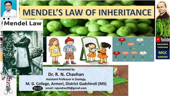 Mendelian inheritance | PDF | Gardening | Home & Garden