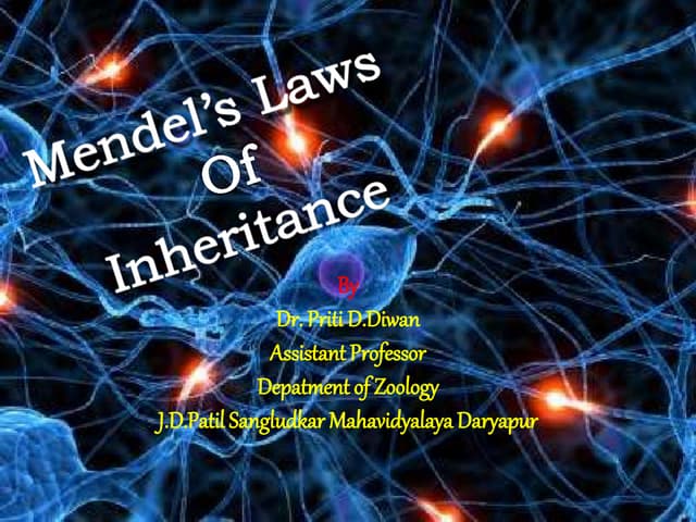 Mendelian Laws of Inheritance | PPT