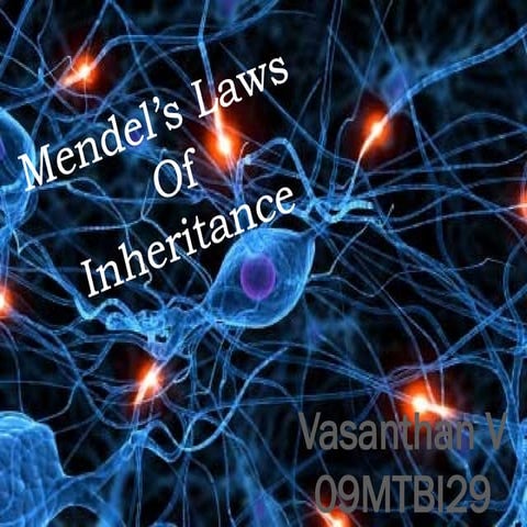 mendelslaws3112011-141005031021-conversion-gate01.pptx