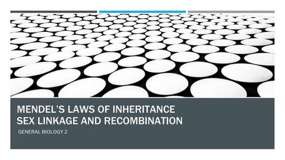 Explanation of X-Linked inheritance | PPTX | Infertility | Reproductive ...
