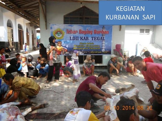 Mso example setup file a | TXT