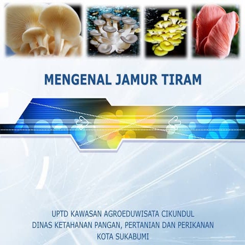 Budidaya Jamur TIram putih pembibitan dan pembesaran.pptx