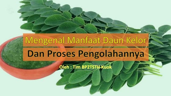 Kelor | PDF