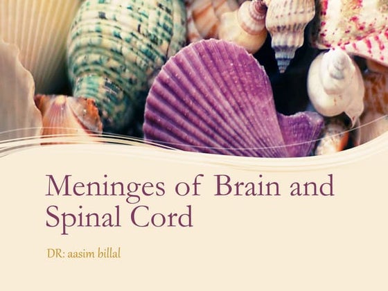 Meninges of the brain | PPT