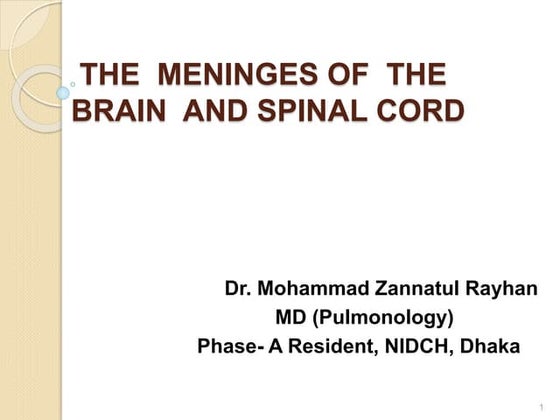 Meninges of the brain | PPT