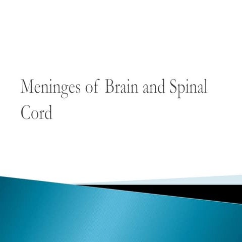 Meninges covering of the CNS.pdf