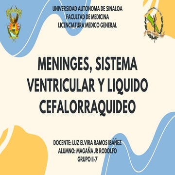 Meninges, Sistema ventricular y liquido cefalorraquideo (1).pdf
