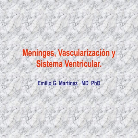Homúnculo cortical o de Penfield. corteza motora y somatosensorial.pptx