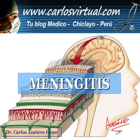 Meningitis | PDF