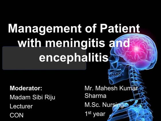 Meningitis | PPTX | Brain and Nervous System Disorders | Diseases and ...