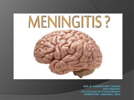 Meningitis | PPTX | Brain and Nervous System Disorders | Diseases and Conditions