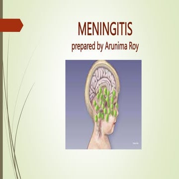 Powerpoint Presentation on Meningitis (Nursing) | PPTX