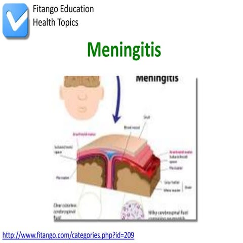 Meningitis | PPTX | Brain and Nervous System Disorders | Diseases and ...