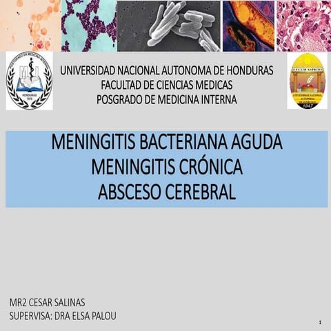 MENINGITIS BACTERIANA AGUDA & ABSCESO CEREBRAL | PPTX