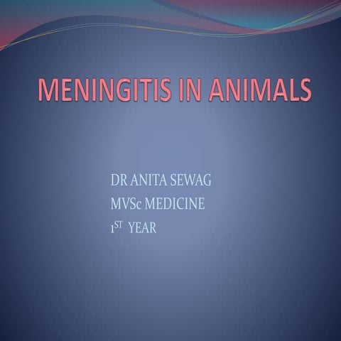 Meningitis in animals | PPTX