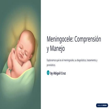 Meningocele conceptos, manejo y tratamiento | PPTX