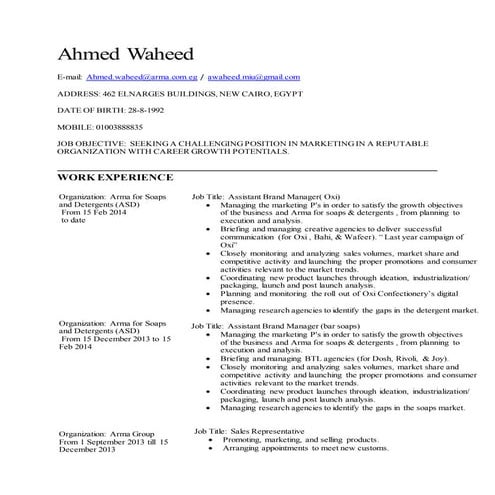 Ahmed Obaid -CV | PDF