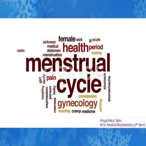 Menstrual cycle | PPT