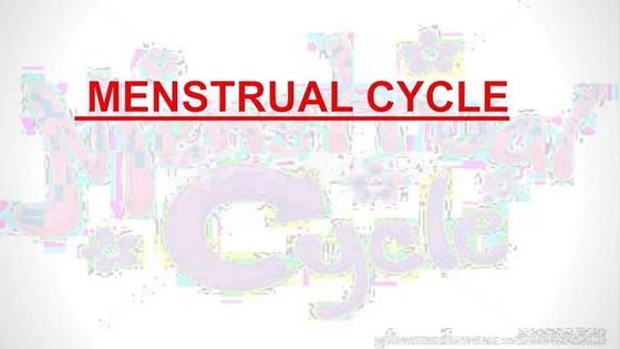 Physiology of Menstrual Cycle. | PPTX