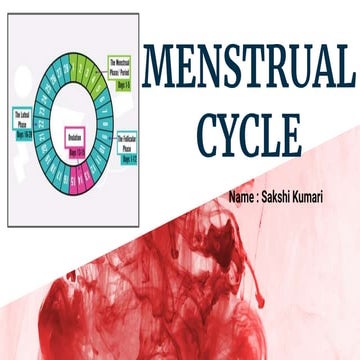 MENSTRUAL CYCLE.pptx