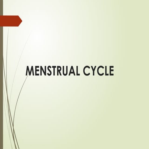 MENSTRUAL CYCLE .pptxxxxxxxxxxxxxxxxxxxxx | PPTX