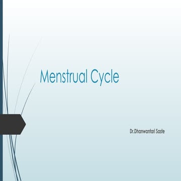 Menstrual Cycle | PPT