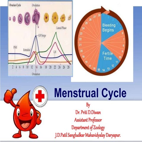 Menstrual Cycle | Hormonal Regulation | PPTX