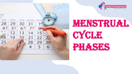 Menstrual Cycle | Hormonal Regulation | PPTX | Pregnancy | Reproductive ...