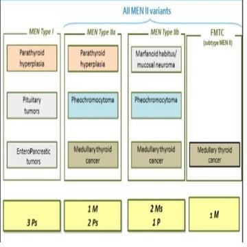 Comprehensive Overview of MEN 2 Syndromes: Genetics, Diagnosis, and ...