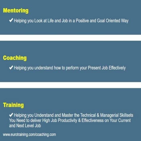 Integrated coaching service outline | PDF