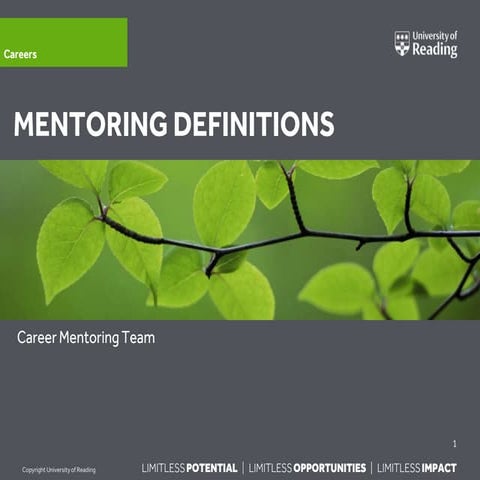 Mentoring definitions | PPTX