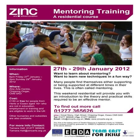 Mentoring poster zinc | PDF