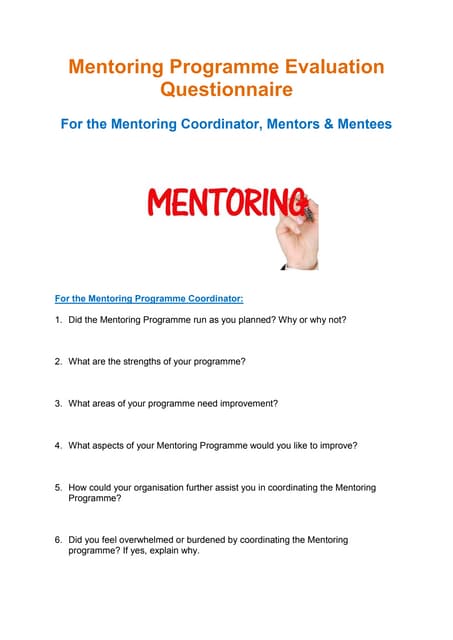 Evaluation Tools Mentee | PDF