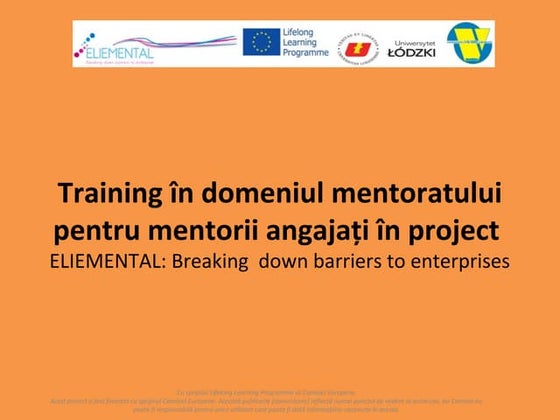 3 report from the meeting final version ro | PDF