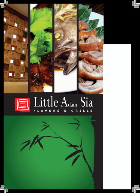 Sample Poster (Samsonite) | PDF