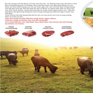 MENU HOTPOT STORY - TPHCM | PDF