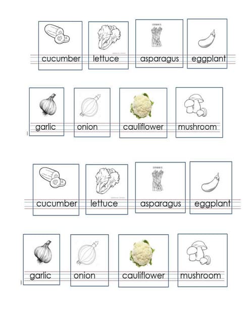 HIDDEN OBJECT YEAR 1 FINAL.docx