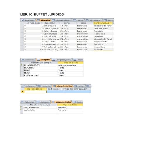 Mer 10 access | DOCX