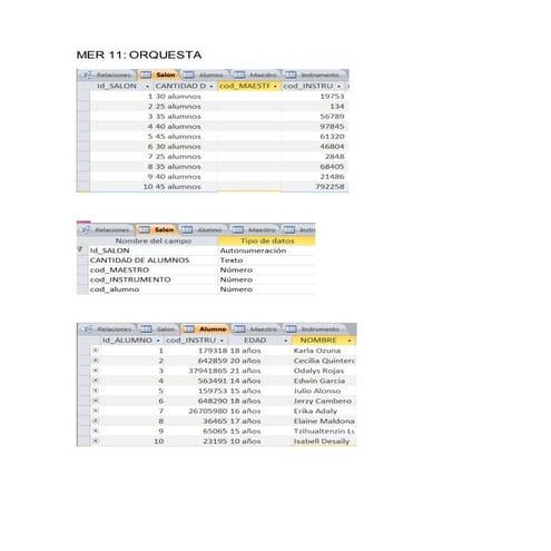 Mer 11 access | DOCX
