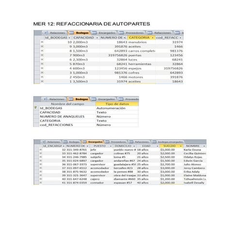 Mer 12 access | DOCX