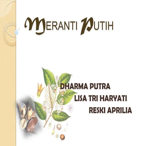 Meranti putih | PDF