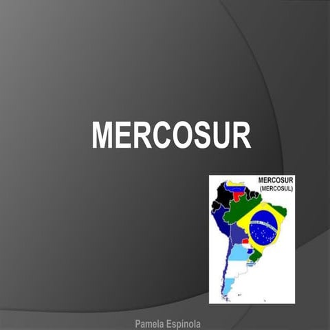 Mercosur | PDF