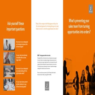 Mercuri o2o Opportunity Management | PDF